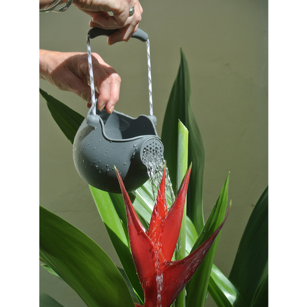 Scrunch - Watering Can Cool Grey