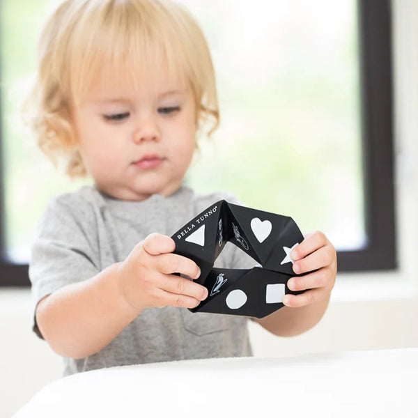 Black Beginner Spinner