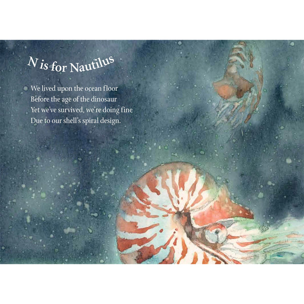 S is for Sea Glass: A Beach Alphabet