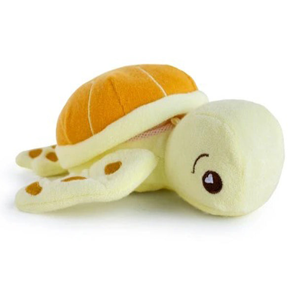 Taylor the Turtle
