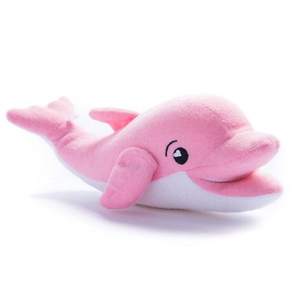 Ava the Dolphin